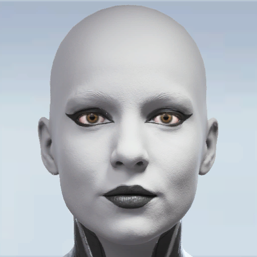 NULL ADORNMENT (13597)
