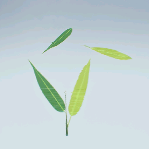 BAMBOO REGENERATION (14218)
