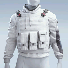 VAIIYA - THE FINALS Wiki