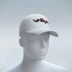 VAIIYA - THE FINALS Wiki