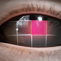 VAIIYA - THE FINALS Wiki