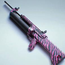 SA1216 - THE FINALS Wiki