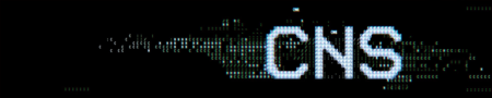 CNS - THE FINALS Wiki